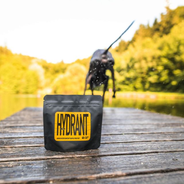 Hydrant | Hydration for dogs | Against overheating of the dog's body ...